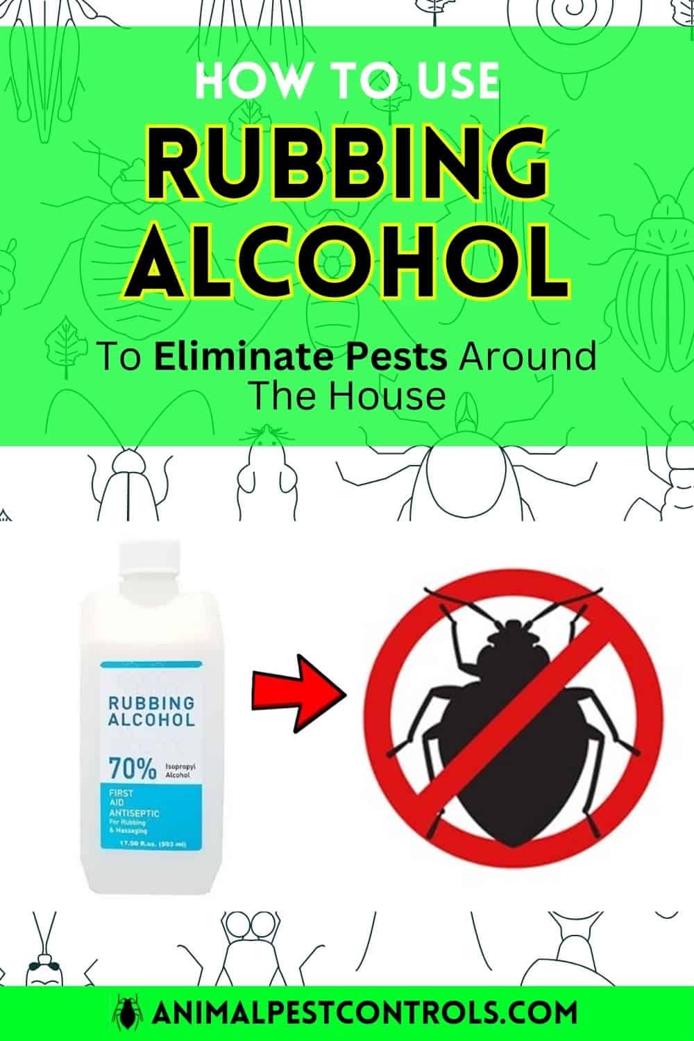 How to Use Rubbing Alcohol to Eliminate Pests Around the House?